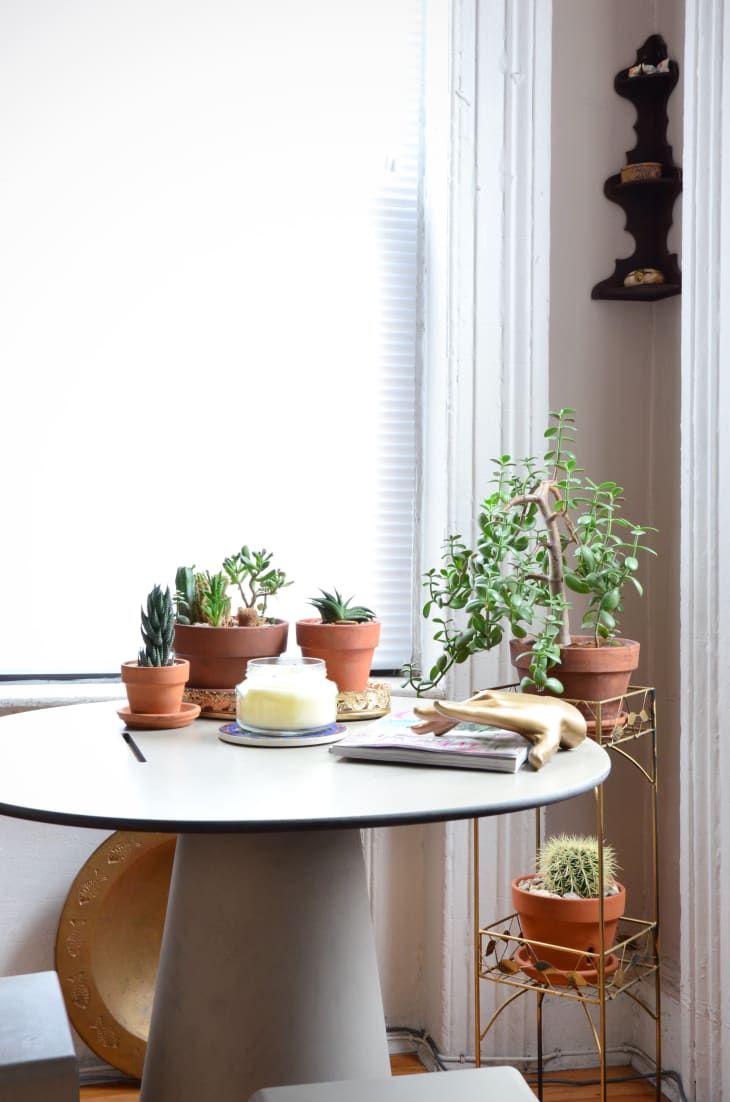 Creative Ways to Decorate Your Home For Free | Apartment Therapy