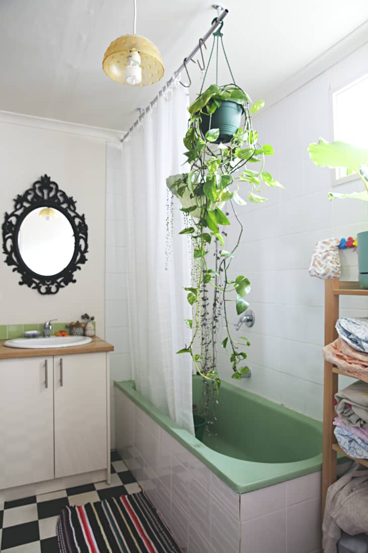 How to Display Houseplants: 100 of Our Favorite Plant-Display Ideas ...