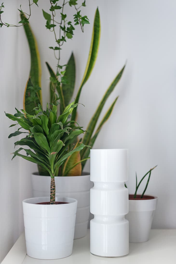 Planters With No Drainage Holes: What to Do? | Apartment Therapy