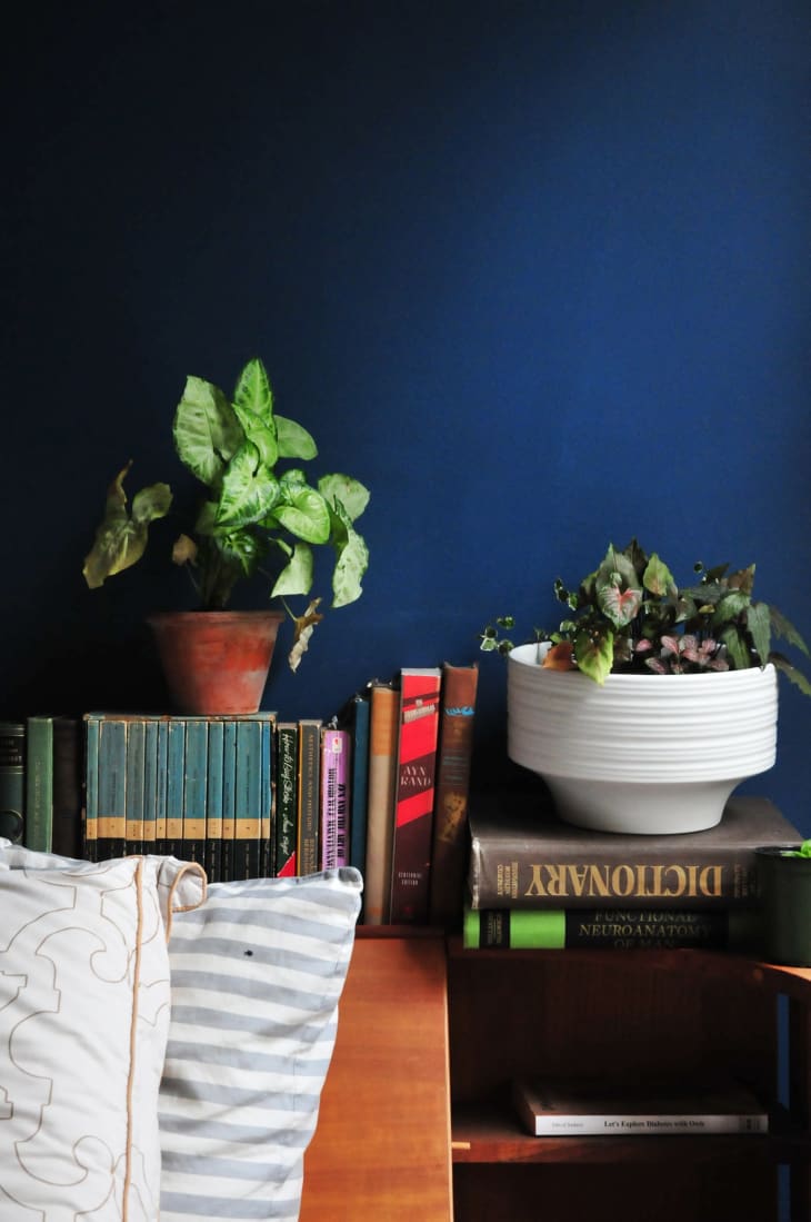 The Best Paint Colors: 10 Valspar Bold Brights | Apartment Therapy