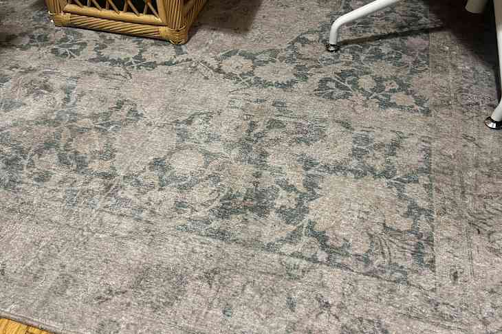 Joanna Gaines' Magnolia Sinclair Rug Has Been My Go-To for a Year ...