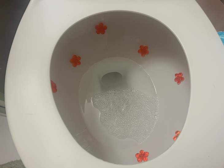 Amazon's Toilet Gel Stamps Make My Bathroom Cuter and Cleaner ...