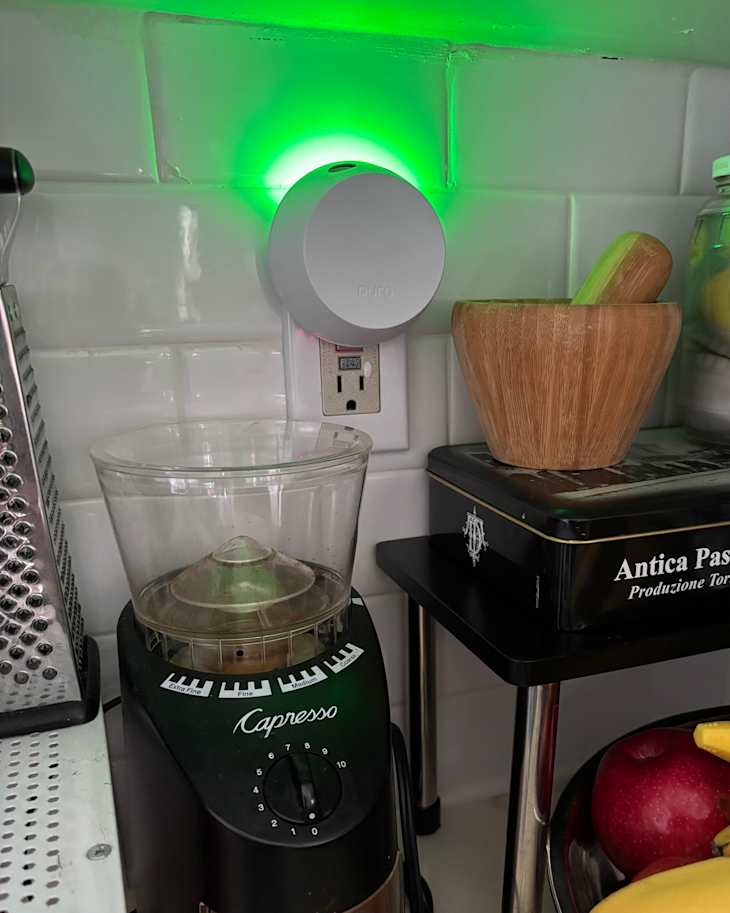 I Tried the Pura 4 Smart Diffuser Plug-In — My Honest Review ...