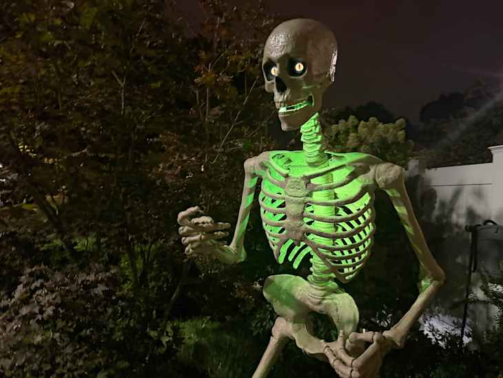 The Home Depot’s Ultra Skelly Is Perfect for Small Yards | Apartment ...
