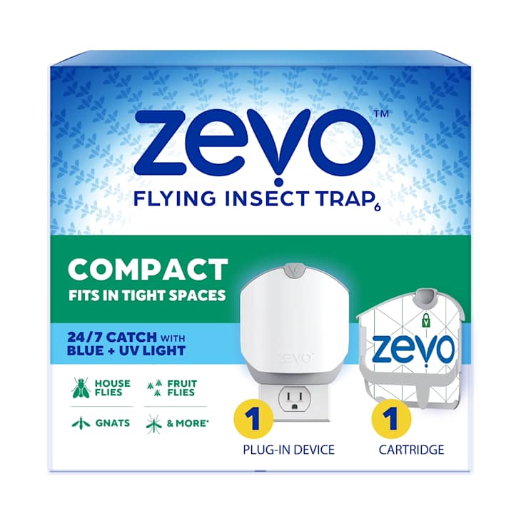 I Tested the Zevo Compact Flying Insect Trap (Review) | Apartment Therapy