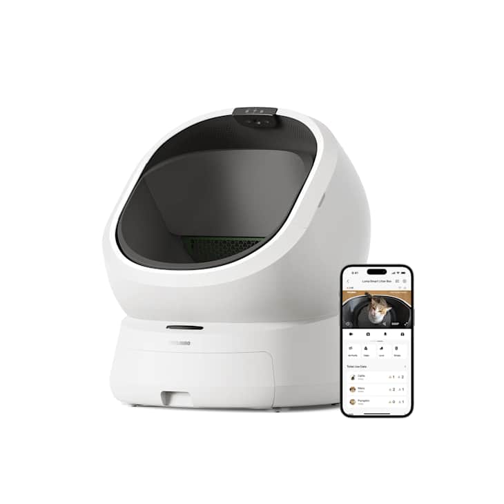 Best Smart Litter Boxes for Small Apartments: Petlibro Luma Review ...