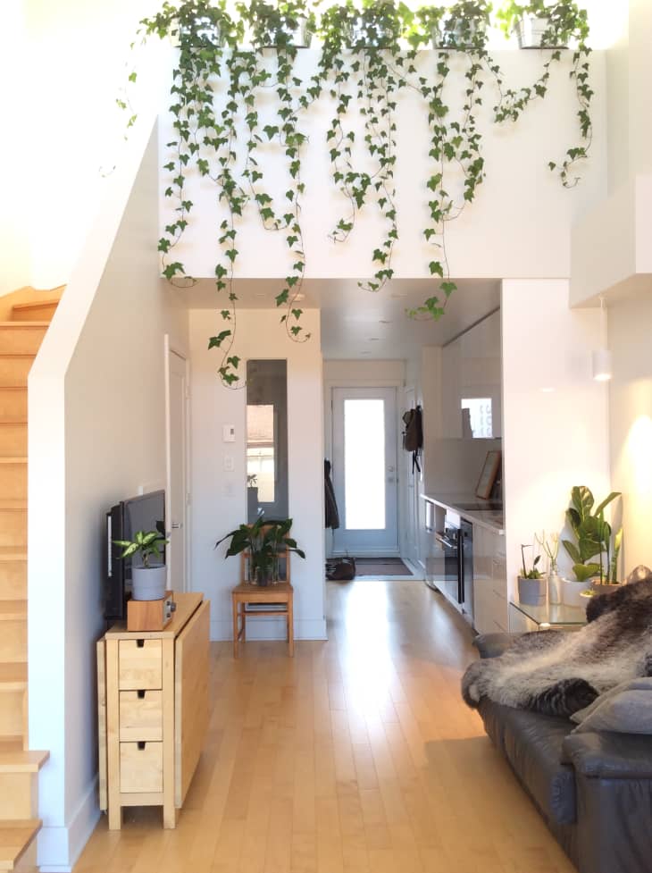 How Big Is 500 Square Feet? Real Homes Help You Visualize | Apartment ...