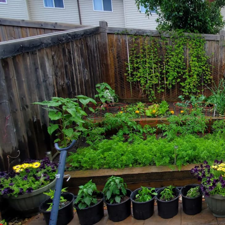 Small Backyard Design Ideas & Inspiration | Apartment Therapy