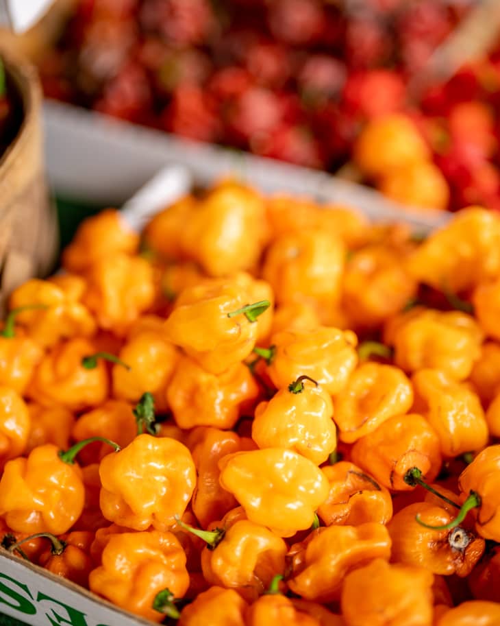 Top 13 Spiciest Peppers in the World, Ranked from Hot to Hottest | The ...