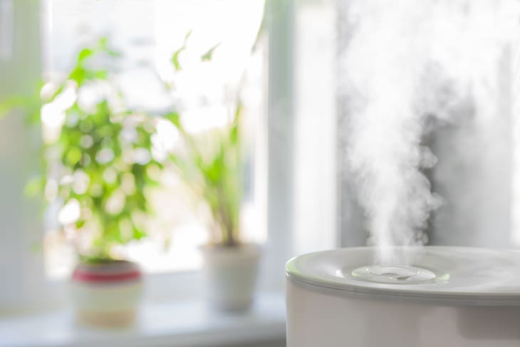 Vaporizers vs. Humidifiers: What’s the Difference? | Apartment Therapy
