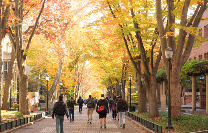 44 Fall Break Instagram Captions for PSLs, BFF Hangs & More | Dorm Therapy
