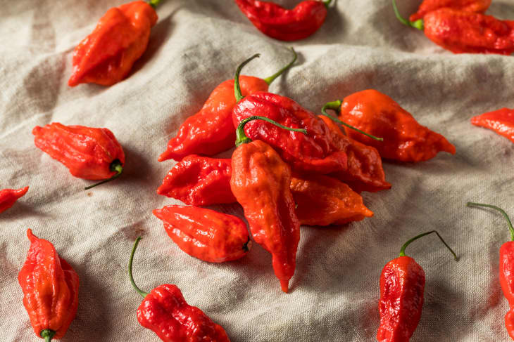 Top 13 Spiciest Peppers in the World, Ranked from Hot to Hottest | The ...