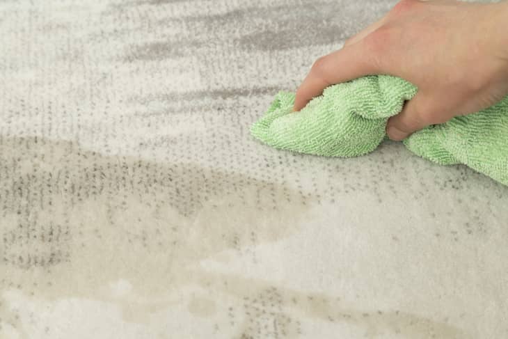 How to Clean Carpet Stains (Expert Methods to Try) | Apartment Therapy