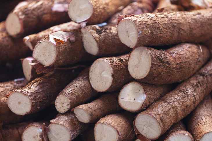 Yuca vs. Yucca: What's the Difference? | The Kitchn