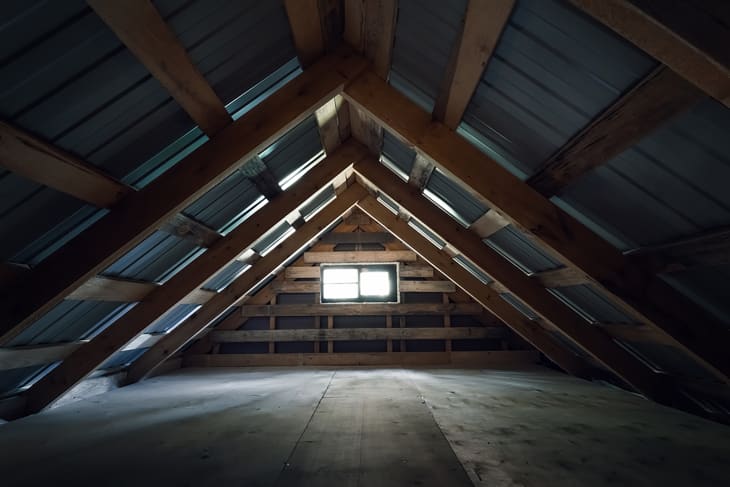 How to Get Rid of Squirrels In an Attic (5 Expert Methods) | Apartment ...