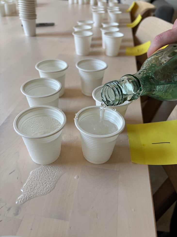 The Best Sparkling Waters of 2025 (We Tried 13) | The Kitchn