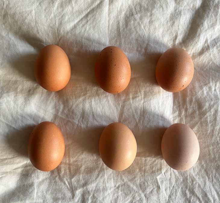 The One Thing You Should Be Doing Every Time You Buy a Carton of Eggs ...