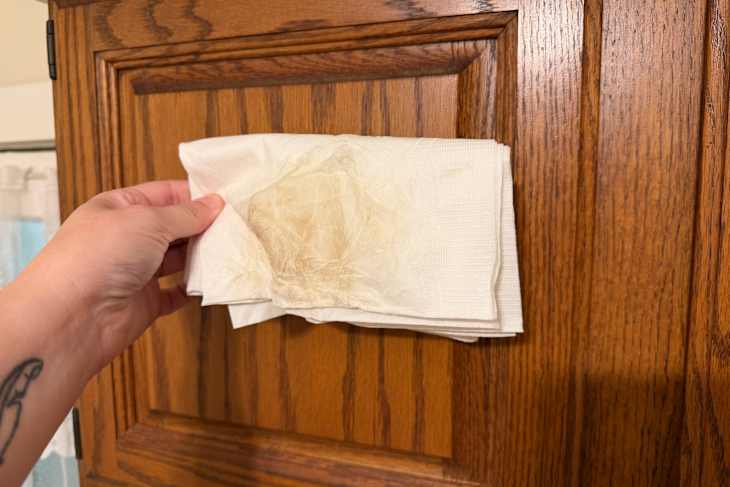 How to Make an Amazing DIY Kitchen Cabinet Degreaser | The Kitchn