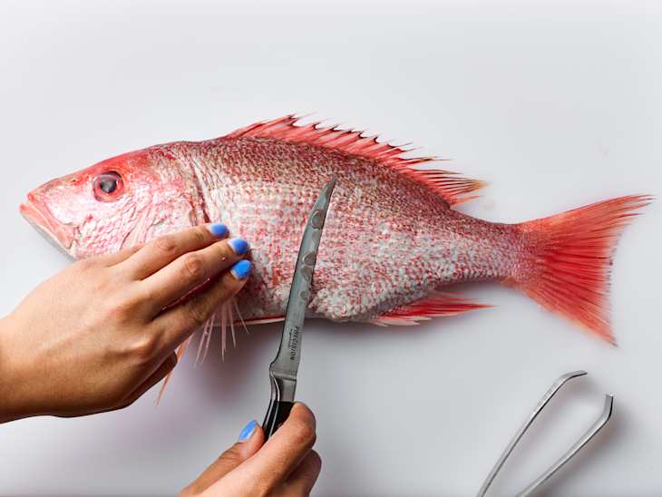 The Best Way to Fillet a Fish (with Step-by-Step Photos!) | The Kitchn