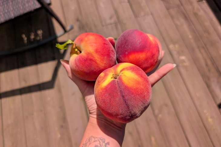 How to Pick Out the Best Peaches Using the "Palm" Rule | The Kitchn