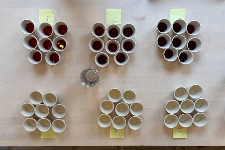 5 Best Bottled Sangrias of 2026 (They Taste Homemade!) | The Kitchn