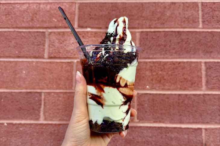 Costco’s New Food Court Dessert Tastes like My Favorite Girl Scout ...