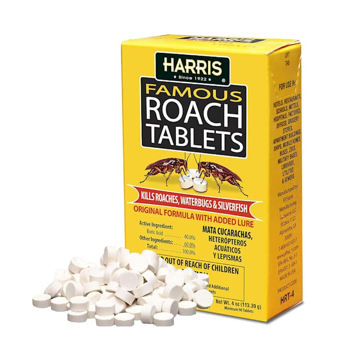 The Best Way to Get Rid of Cockroaches, According to an Entomologist ...