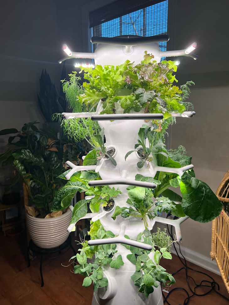 Why I’d Splurge on the Lettuce Grow Farmstand Nook Again and Again ...