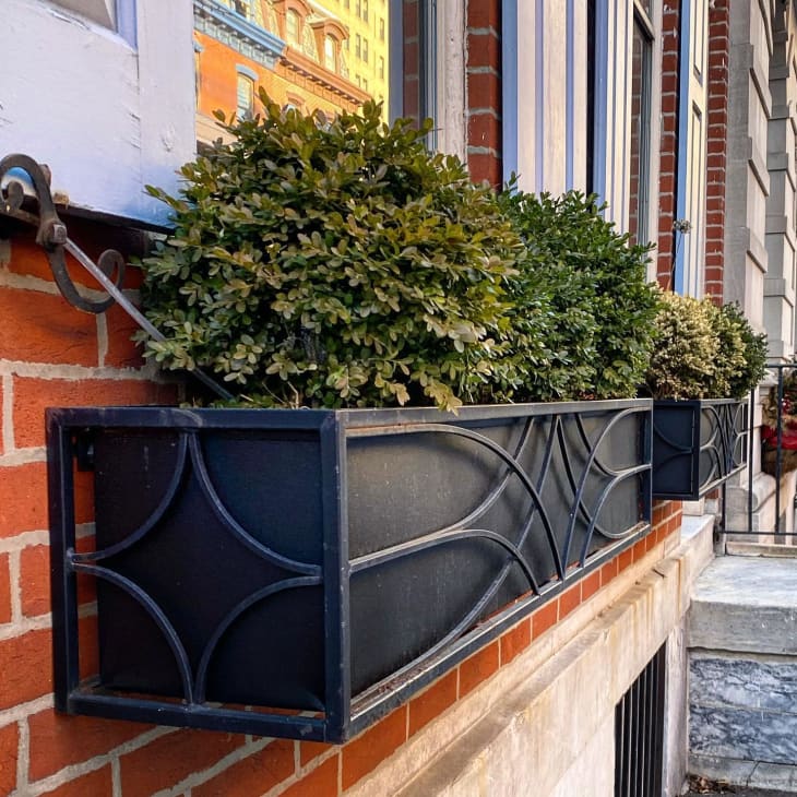 29 Window Box Flower Ideas (With Photos of Inspiring Plantings ...