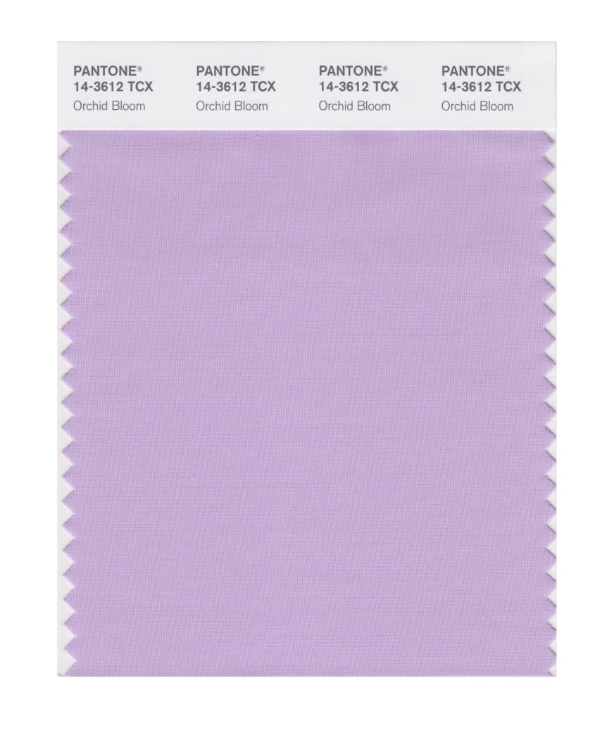 Pantone Released Its Color Trend Report for Spring/Summer 2022 ...