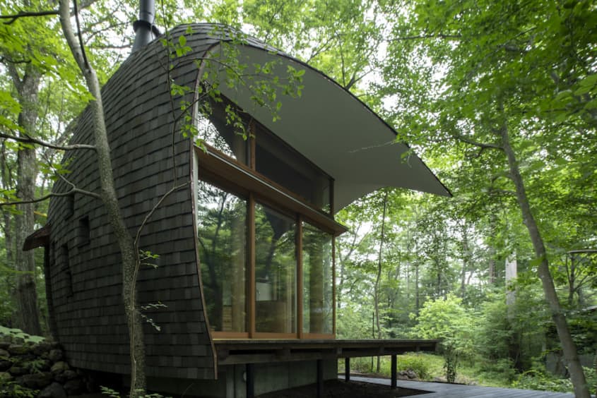 A Tiny House Shaped Like a Shell in Japan Blends Into its Forest ...