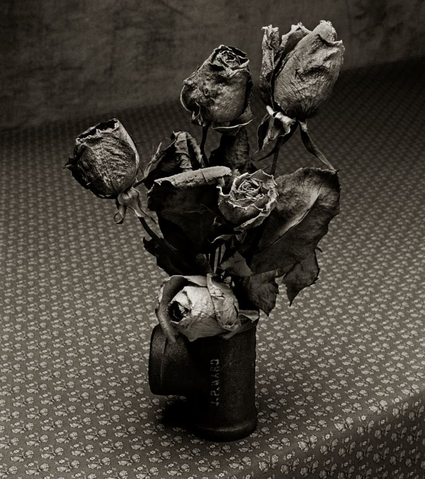 Renowned Photographers Have Teamed Up For the “Images for Humanity ...