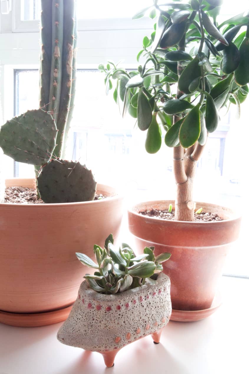 House Tour: An Art Director's DIY Montreal Apartment | Apartment Therapy