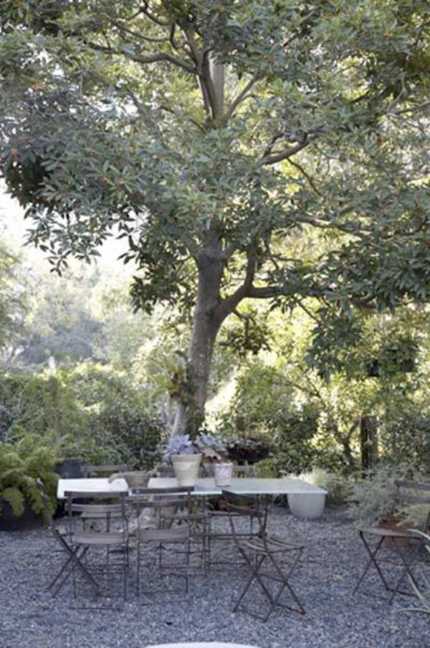 House Tour: Shawn and Amy’s Laurel Canyon Retreat | Apartment Therapy