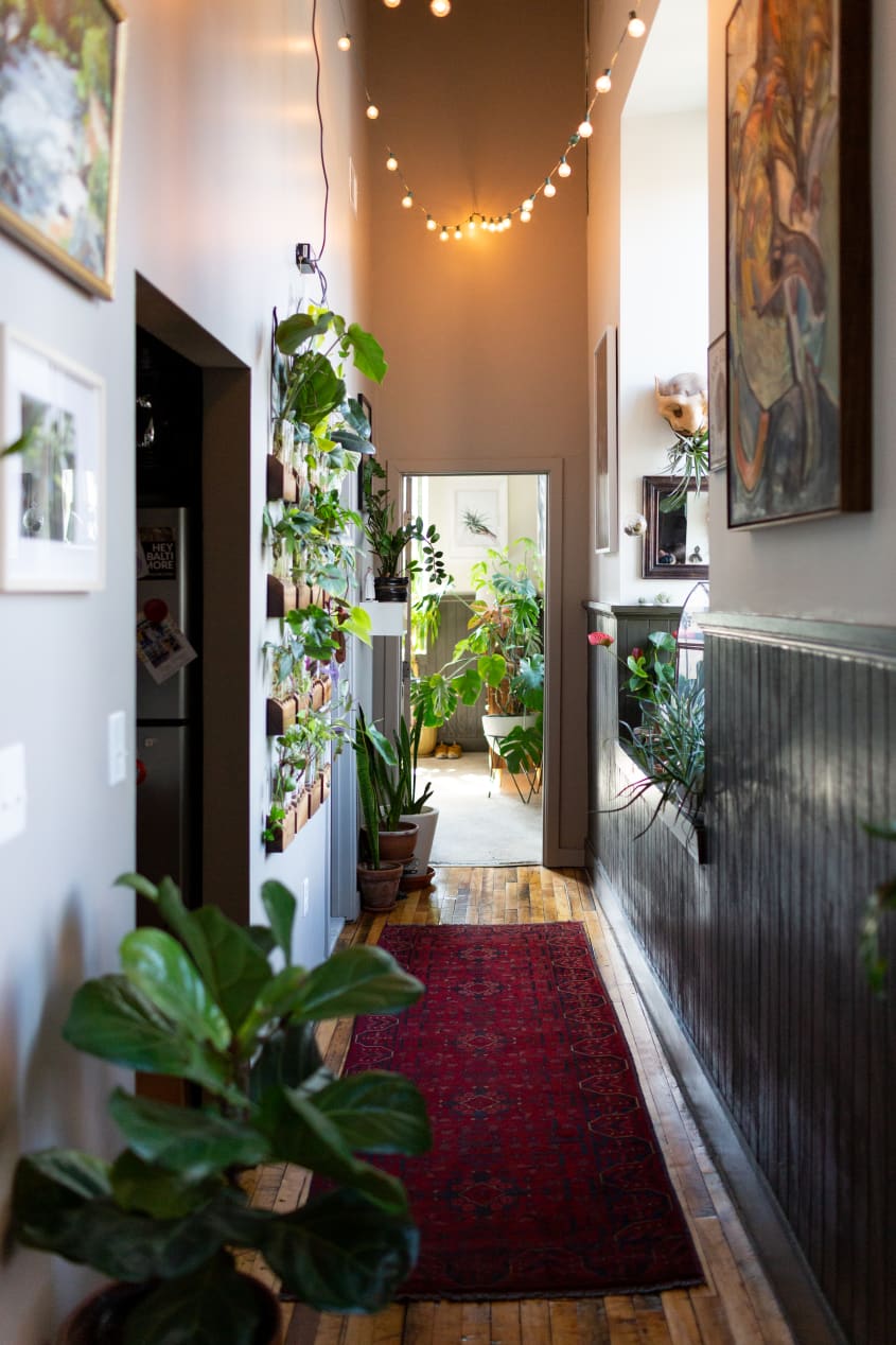 Hilton Carter Plant Doctor Industrial Loft Home Photos | Apartment Therapy