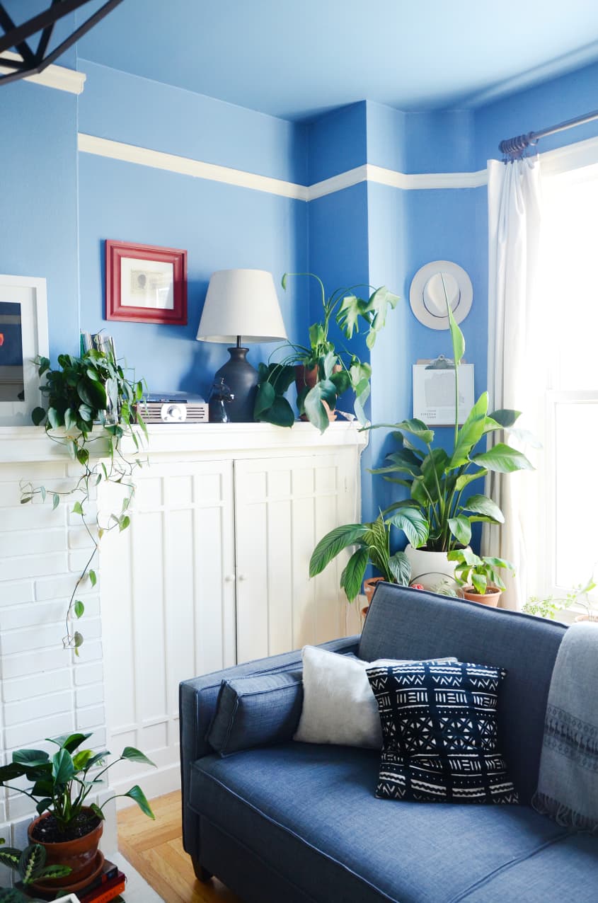 House Tour: Small San Francisco Home Filled With Plants | Apartment Therapy