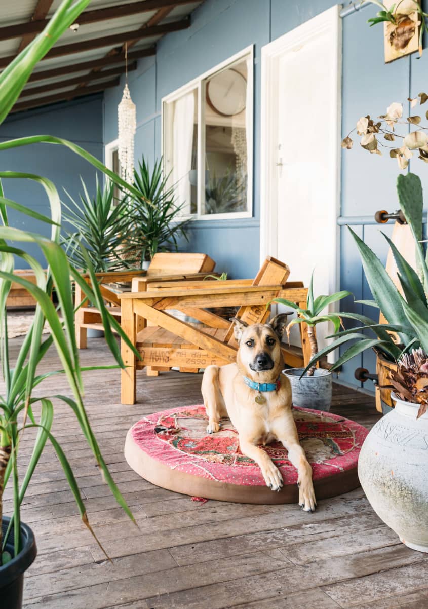 House Tour: A Raw & Earthy Australian Beach Shack | Apartment Therapy