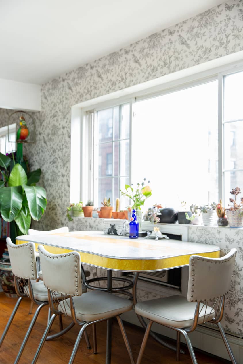 Viva Aviva Founder Aviva Falk Brooklyn Home Tour | Apartment Therapy