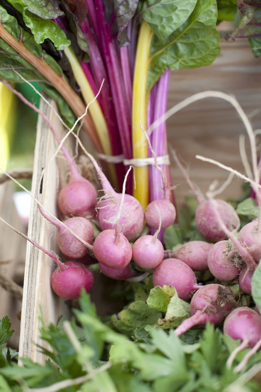 How Produce Gets from the Farm to a Farmers Market | The Kitchn