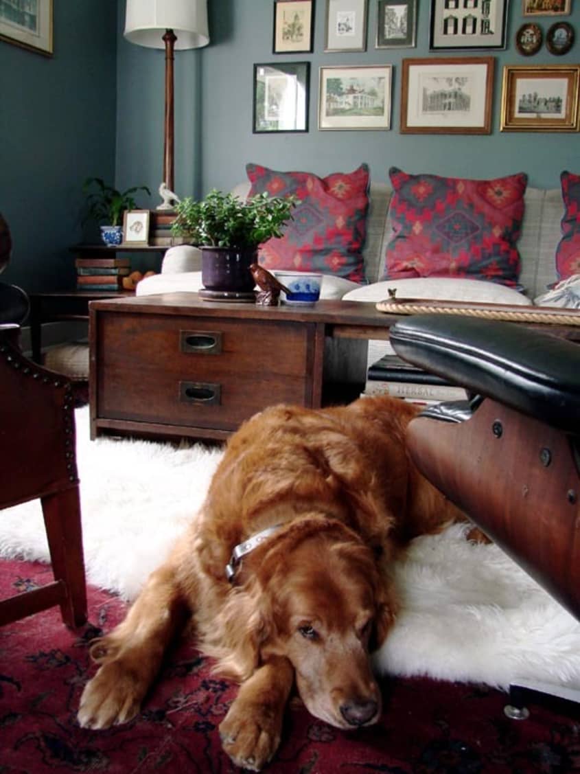 Michele & Ryan Tansey’s Antiquarian Hideaway | Apartment Therapy