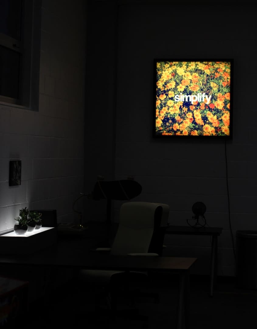 LESS Co. Studio | Apartment Therapy