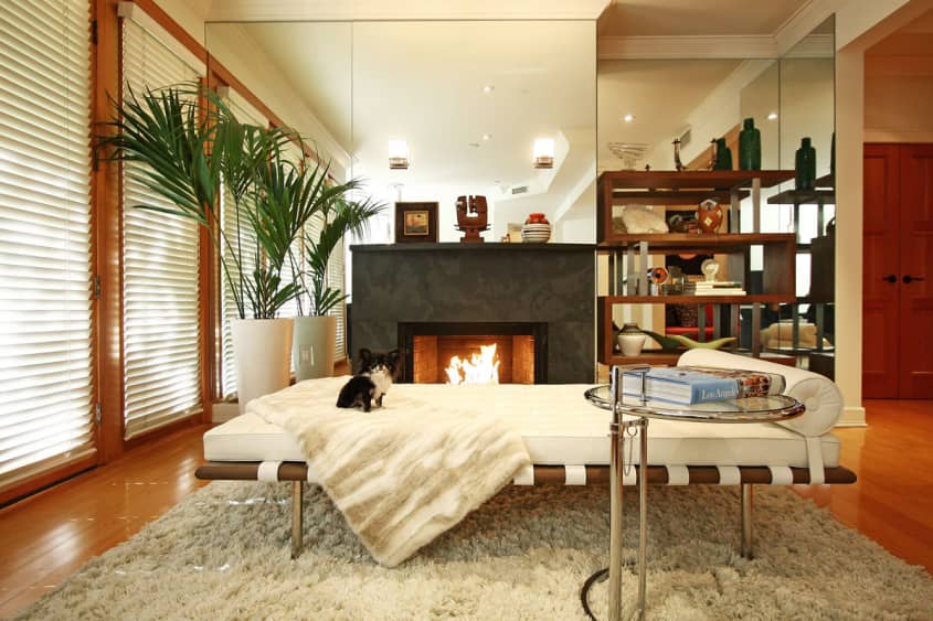 Chad Rogers’ Modern, Pet-Friendly Condo | Apartment Therapy