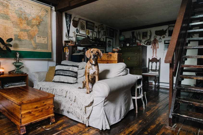 Tiny House Tour: A 370-Square-Foot Carriage House | Apartment Therapy