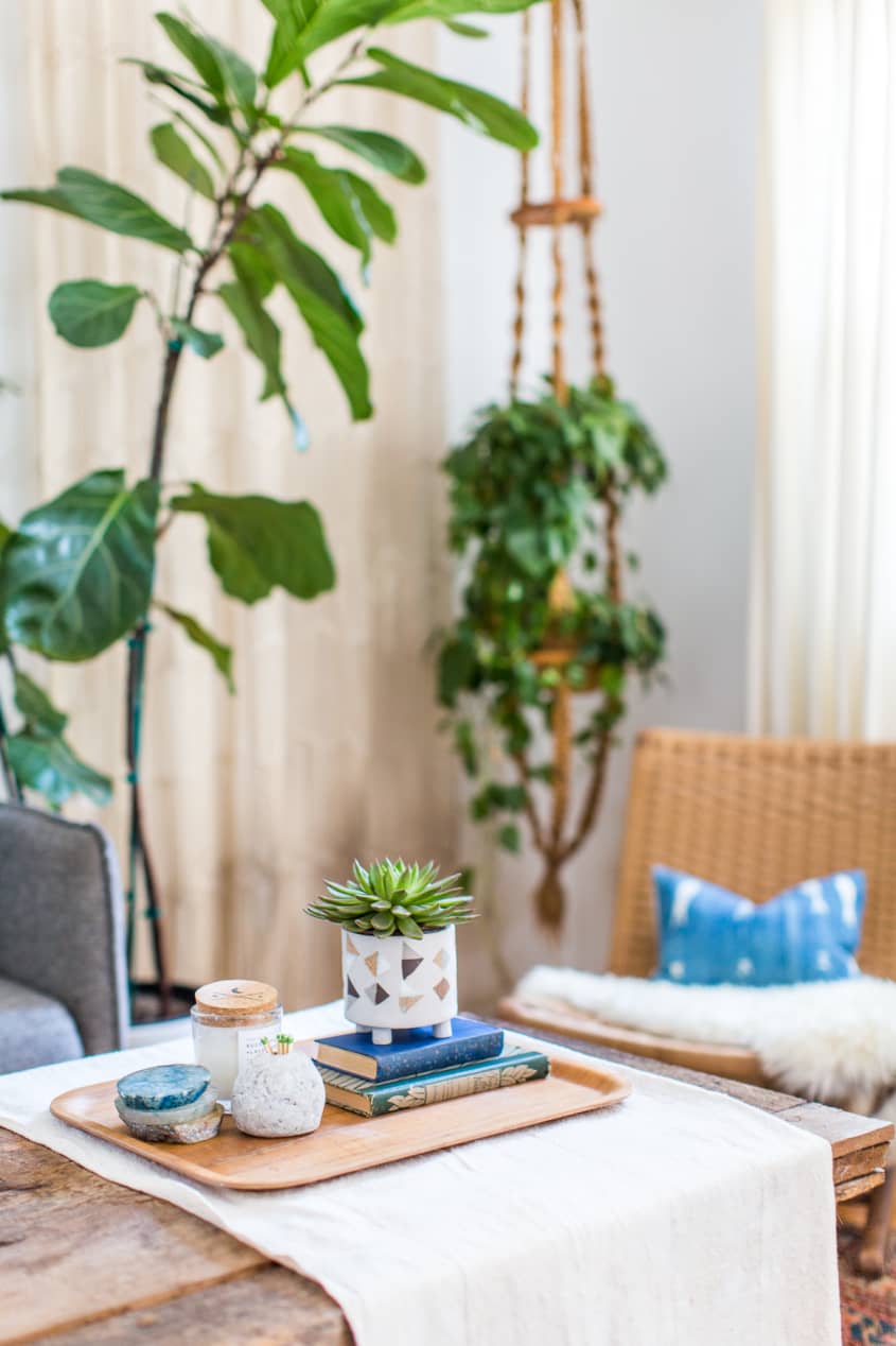 House Tour: The Wolf Nest Dog Bed Founder's Cali Home | Apartment Therapy