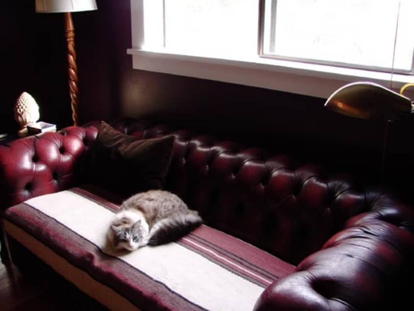 Michele & Ryan Tansey’s Antiquarian Hideaway | Apartment Therapy