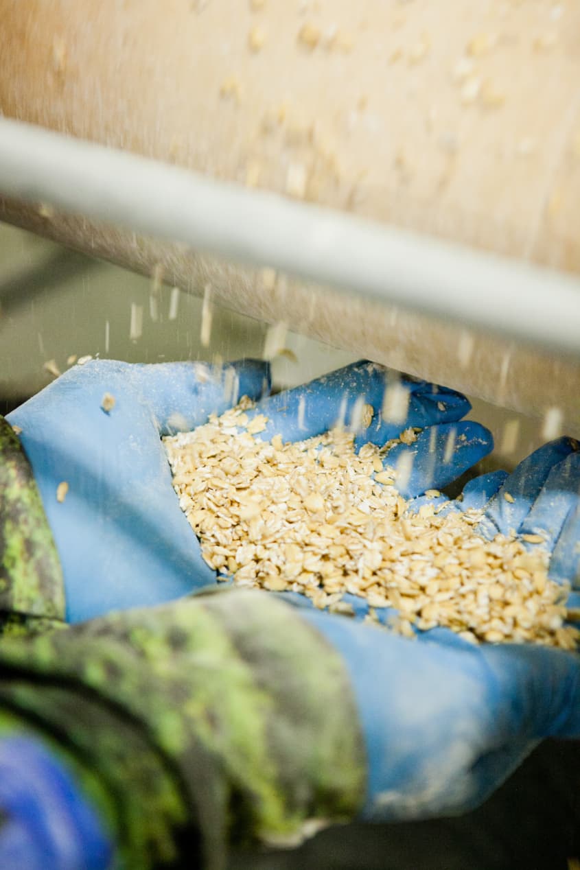 How Sprouted Flour Is Made: A Tour of To Your Health’s Sprouted Flour ...