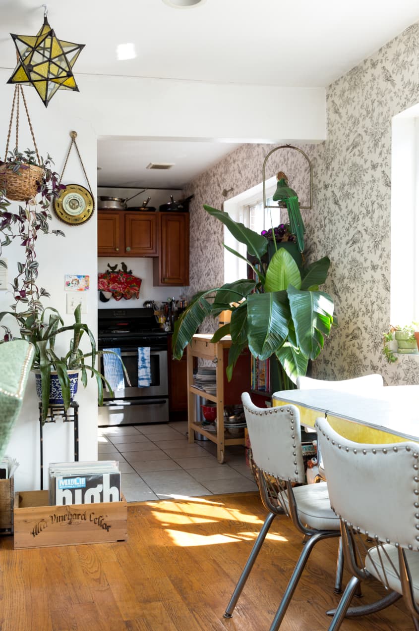 Viva Aviva Founder Aviva Falk Brooklyn Home Tour | Apartment Therapy