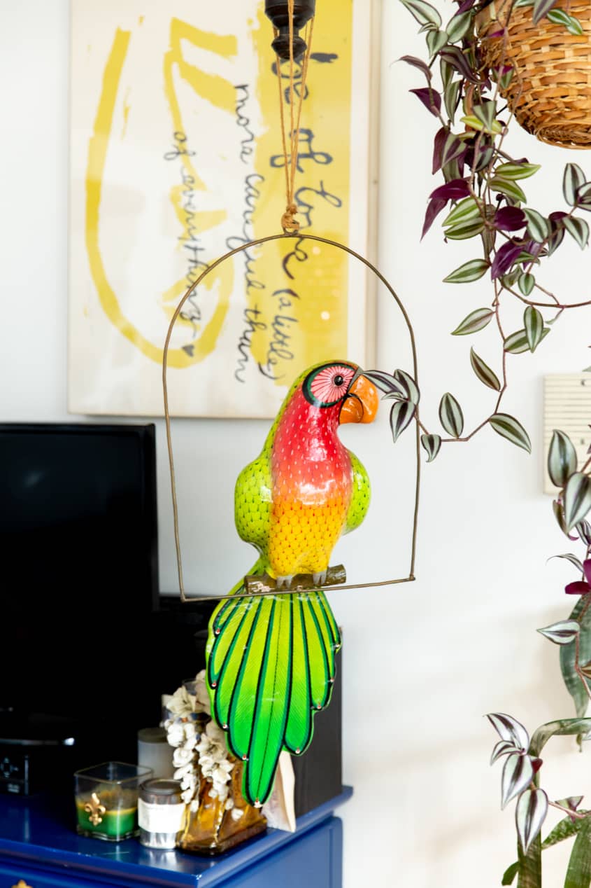 Viva Aviva Founder Aviva Falk Brooklyn Home Tour | Apartment Therapy