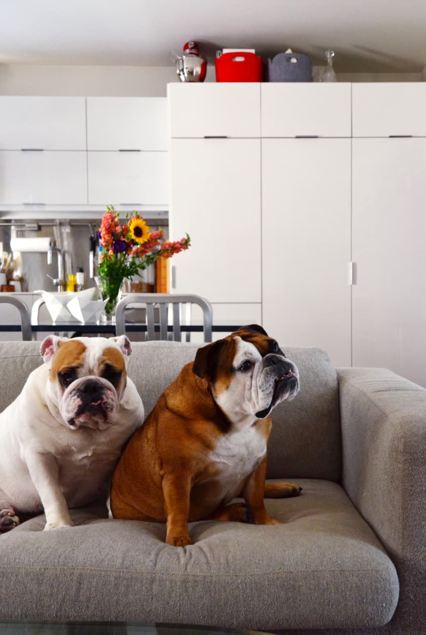 House Tour: A Small but Stylish West Village Apartment | Apartment Therapy