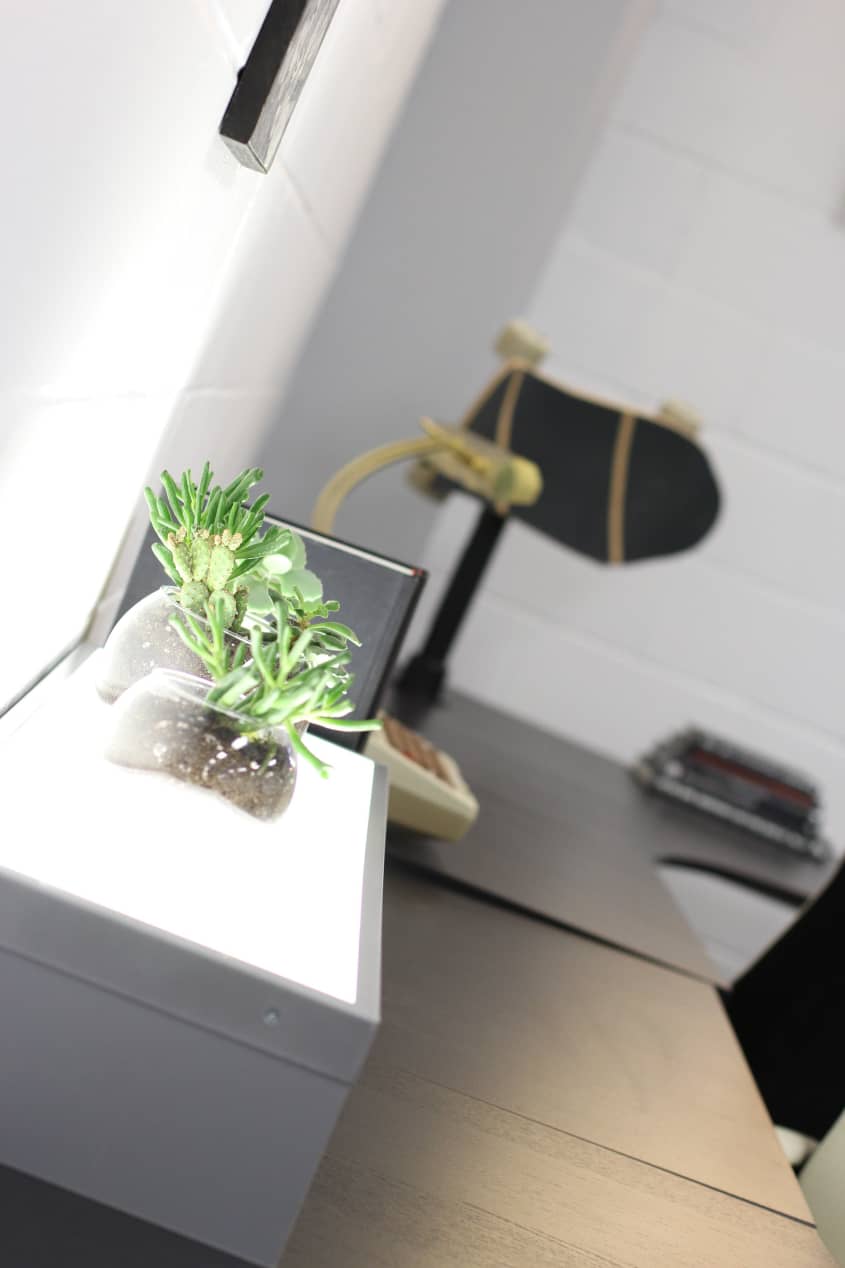 LESS Co. Studio | Apartment Therapy